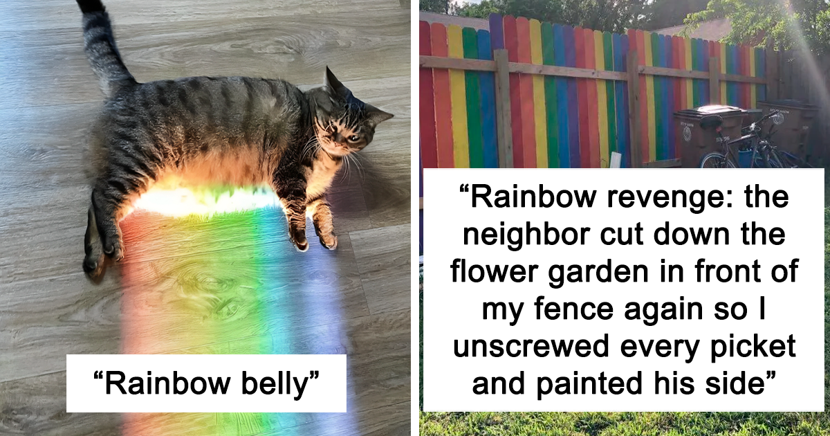 50 Amazing “Rainbow Everything” Pics Right In Time To Celebrate Pride ...