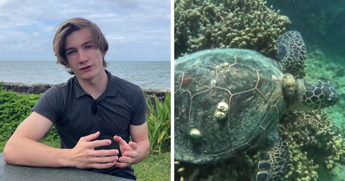 18YO Awarded $10K For Solving Why Local Hawaii Turtles Suffer From ...