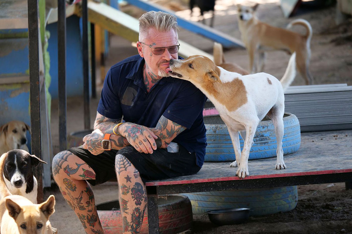 This Chef Found His True Calling Rescuing Stray Dogs In Thailand