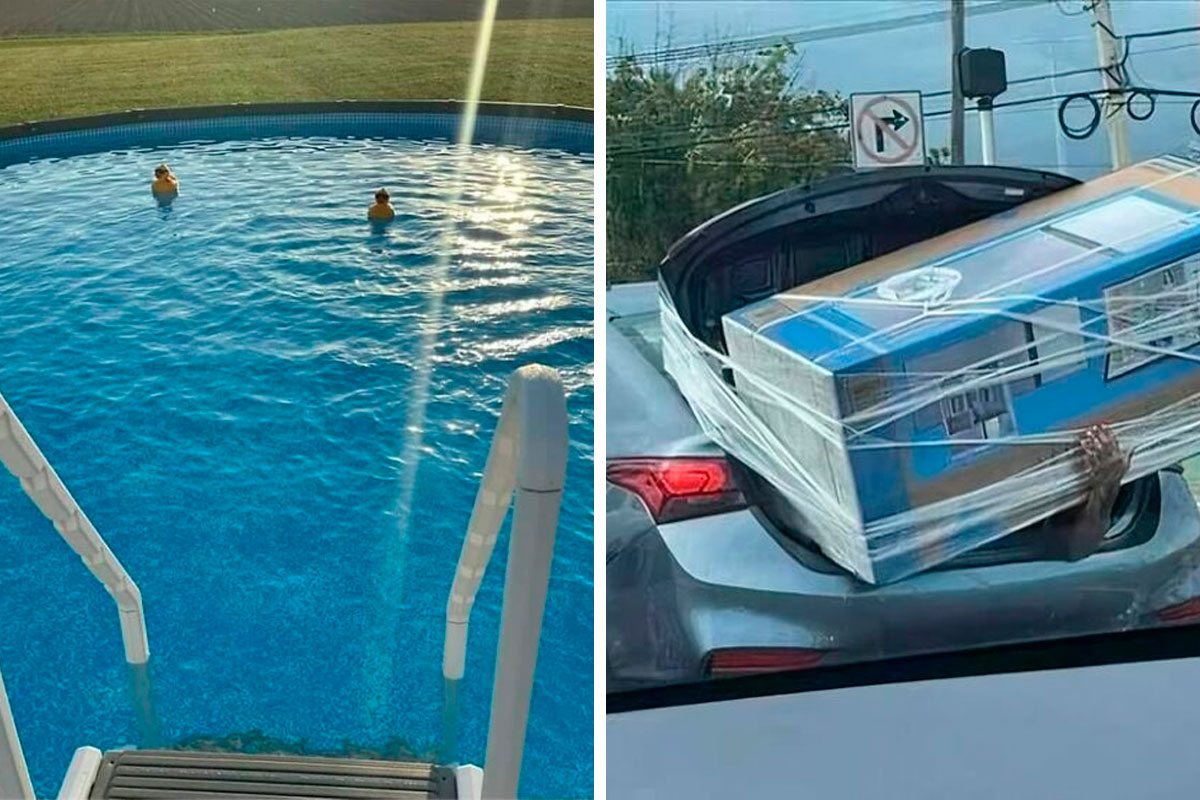 50 Unsettling Images To Leave You With That Eerie Feeling | Bored Panda