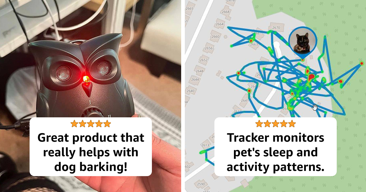 28 Pet Gadgets To Show Your Fur-baby Some Love | Bored Panda