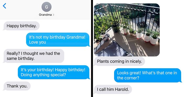 30 Delightfully Wholesome Boomer Moments That Melted The Internet’s ...