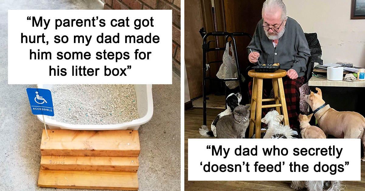 50 Funny And Wholesome Dads Who Nailed Fatherhood (New Pics) | Bored Panda