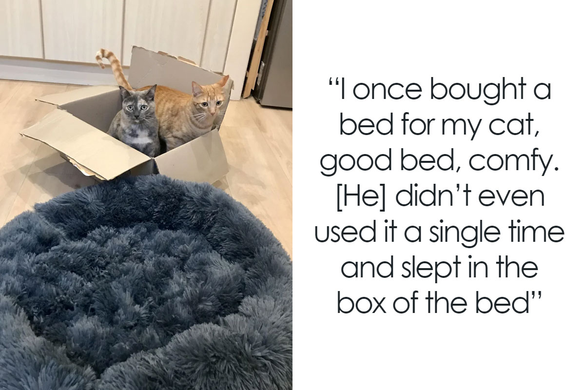 “Total Waste Of Money”: 30 Of The Worst Purchases Folks Online Ever ...