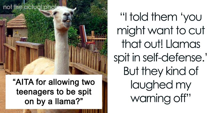 “The Llama Had Enough”: Zoo Keeper’s “Lesson” Sparks Parental Outrage ...