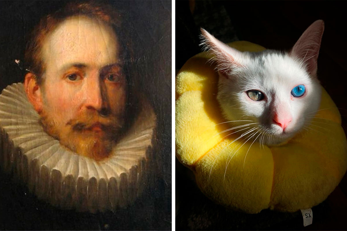 30 Times People Caught “Accidental Renaissance Cats” And Just Had To ...
