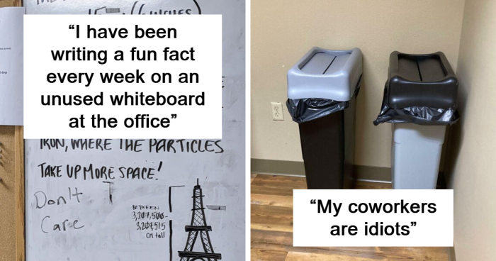 50 Pics Showing That Some People Have No Idea How To Behave At Work ...
