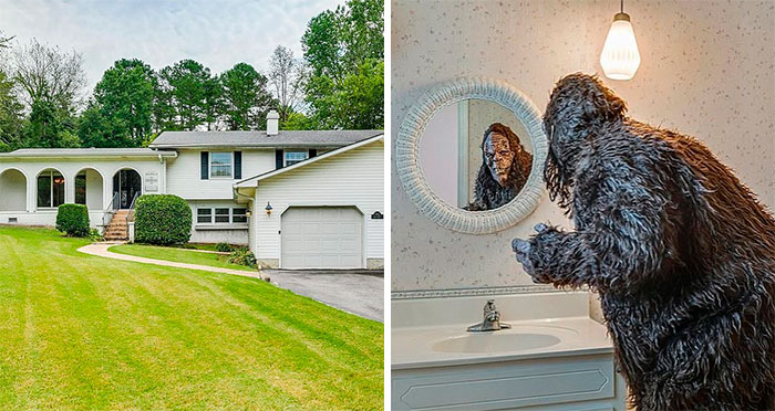 “Zillow Gone Wild”: 30 Of The Most Unhinged Listings Of All Time
