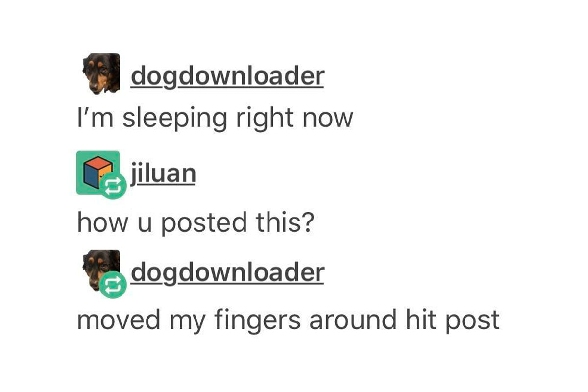 50 Hilariously Witty Tumblr Posts That Show What The Internet Is All ...