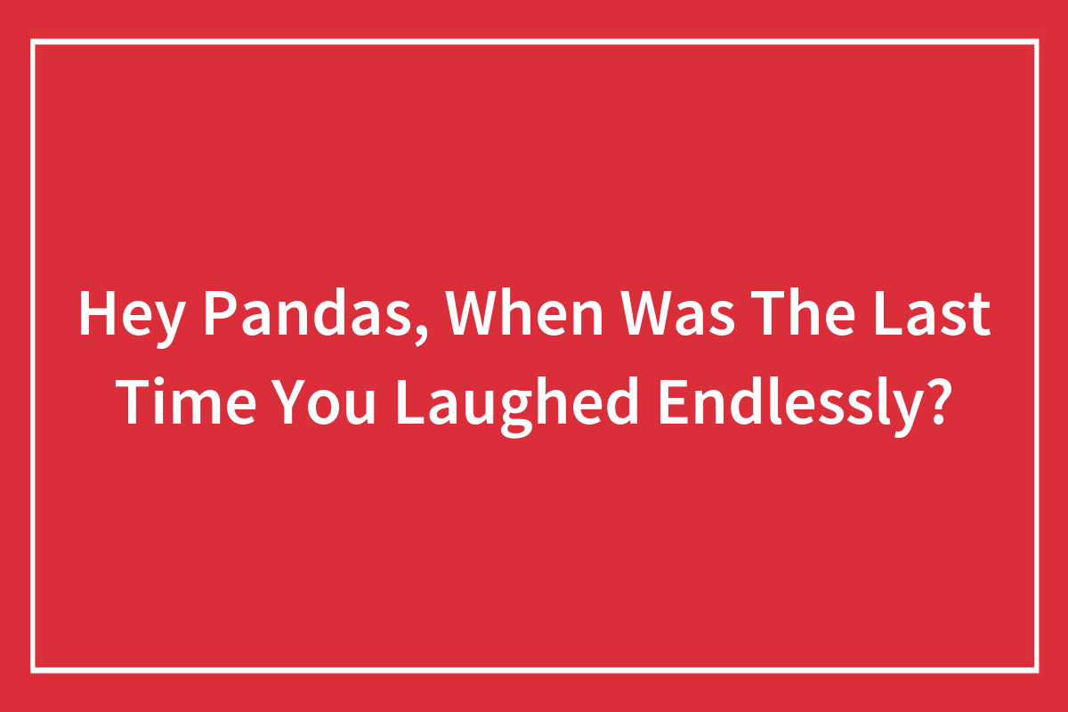 Hey Pandas, When Was The Last Time You Laughed Endlessly? | Bored Panda