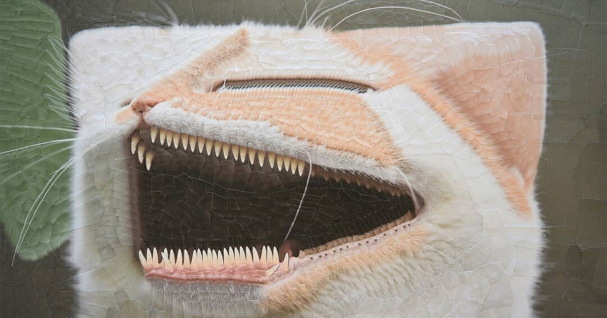 Artist Creates Unusual Pet Portraits Through Distortion, And Here Are ...