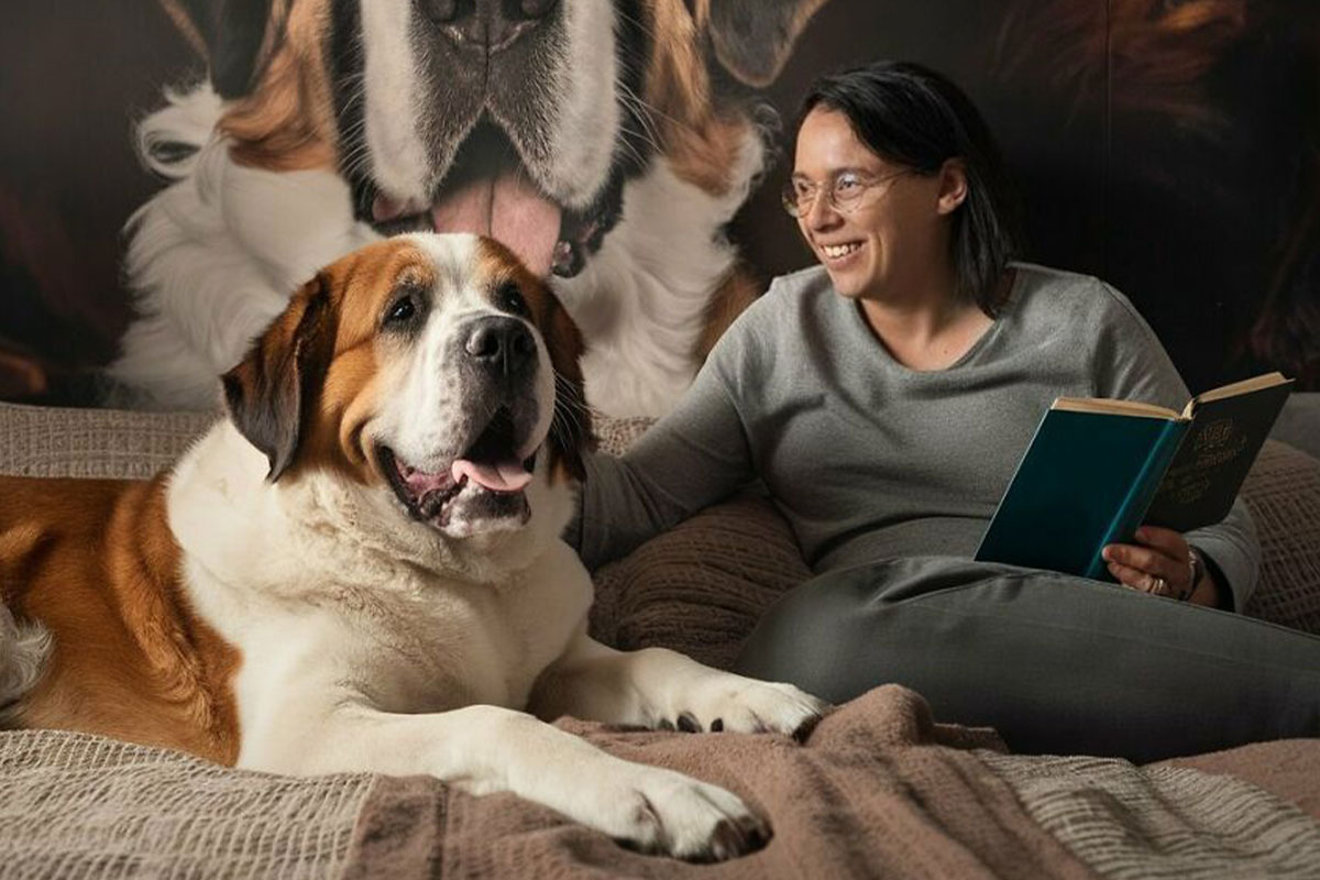 15 Dog Breeds With The Lowest Lifespans | Bored Panda