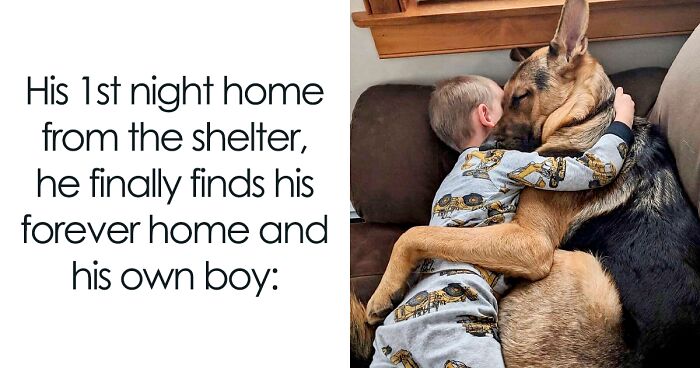 50 Dog Memes To Make Your Day Much Brighter