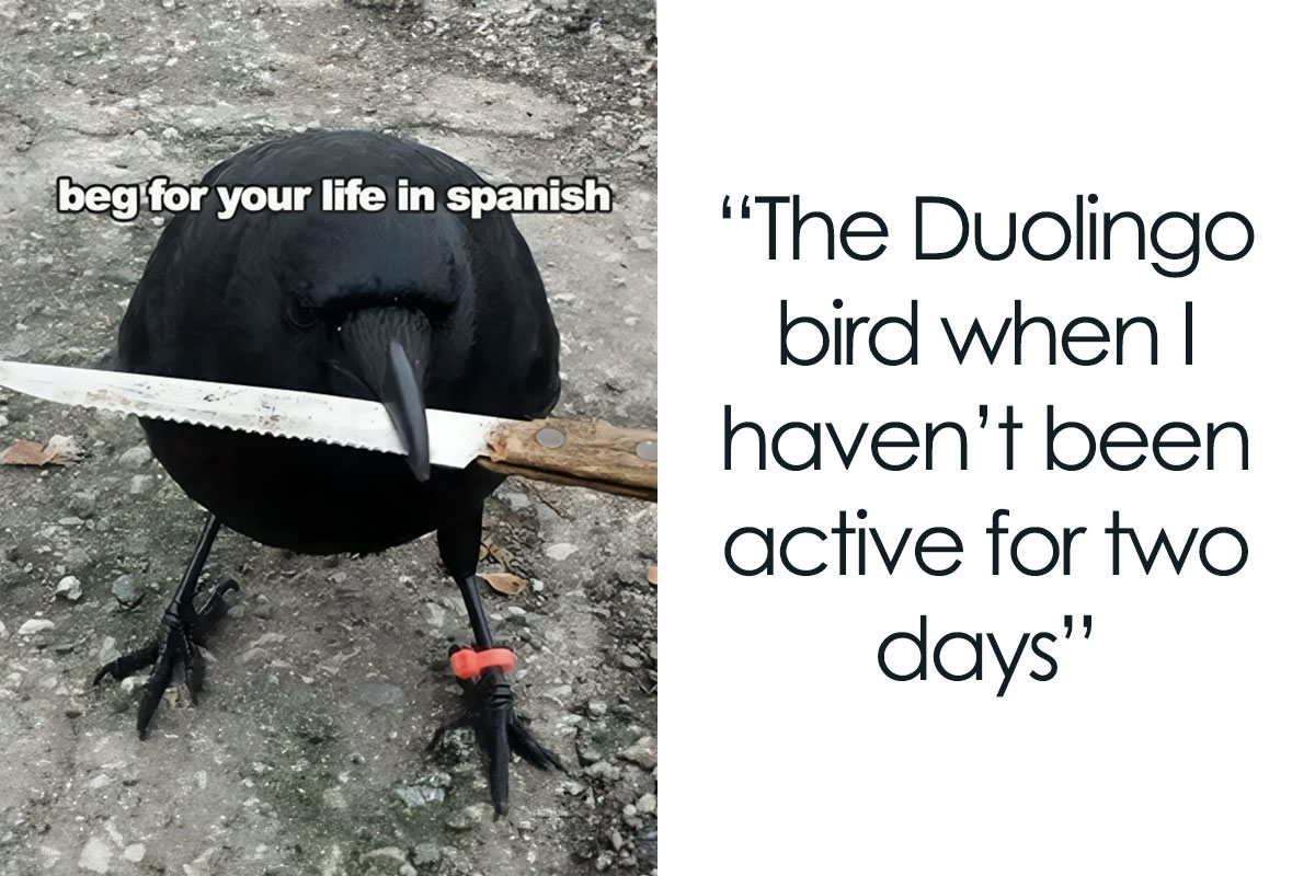 30 Hilariously Threatening Duolingo Memes | Bored Panda