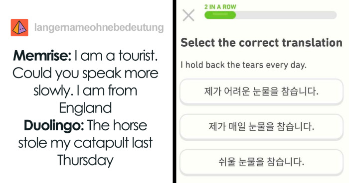 30 Hilariously Threatening Duolingo Memes