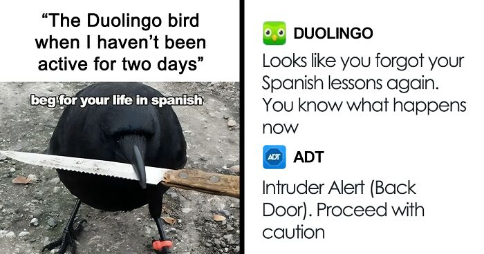 30 Hilariously Threatening Duolingo Memes