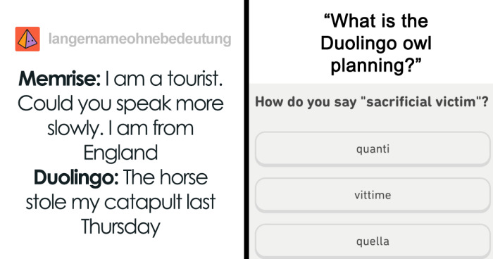 30 Hilariously Threatening Duolingo Memes