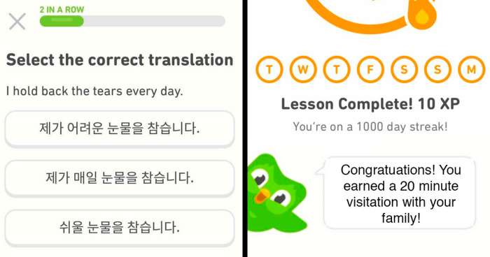 30 Hilariously Threatening Duolingo Memes