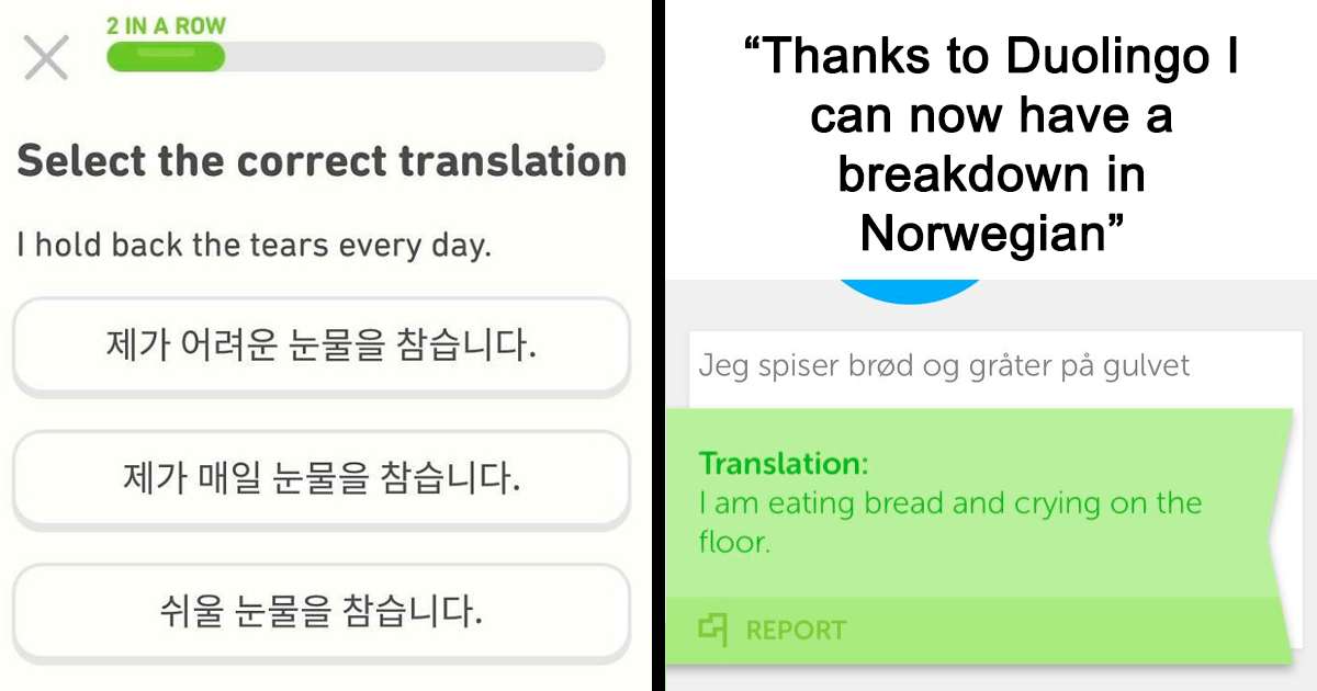 30 Hilariously Threatening Duolingo Memes | Bored Panda