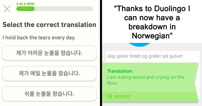 30 Hilariously Threatening Duolingo Memes