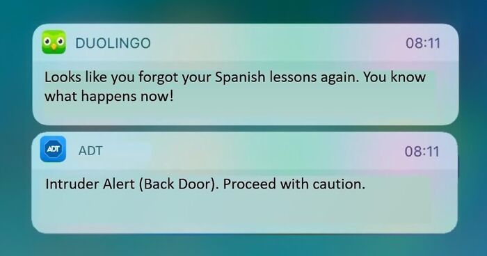 30 Hilariously Threatening Duolingo Memes