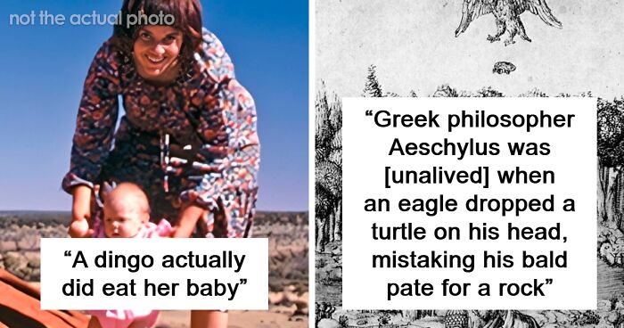 “Crazy Way To Go Out”: 50 Ways People Died That Are Almost Hard To Believe