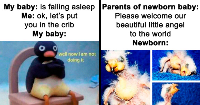 50 Memes That New Moms And Dads Might Find Incredibly Relatable