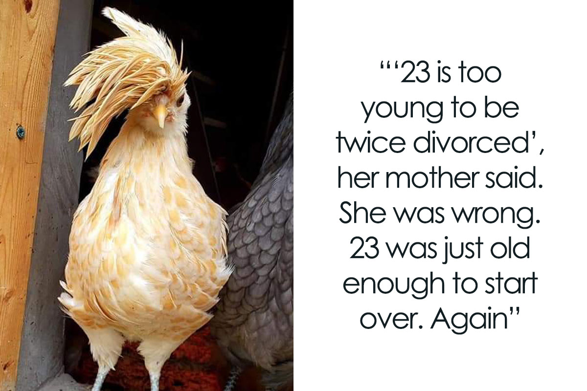 50 Pictures Of Birds That Are Probably Having A Worse Day Than You ...