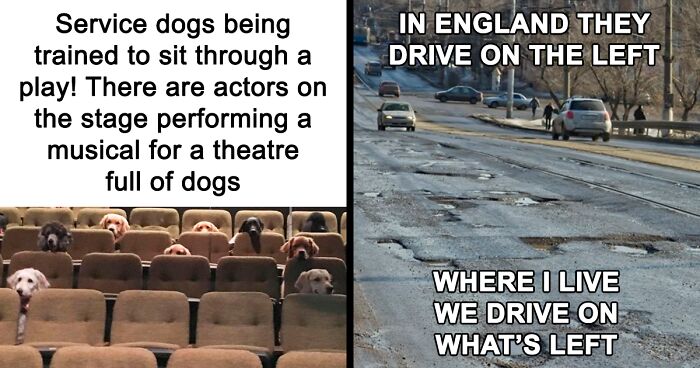 50 Funny Memes That You Might Find Painfully Relatable | Bored Panda