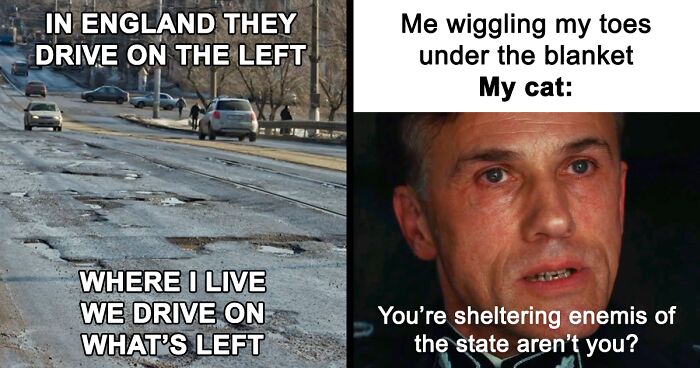 50 Funny Memes That You Might Find Painfully Relatable | Bored Panda