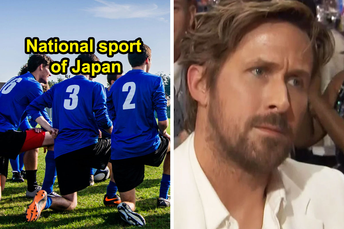 I’ve Given You 12 Questions, Anything Above Eight Is An Excellent Score