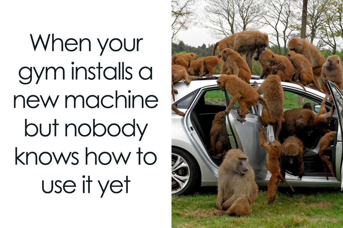 FB Page “Gym Fail Nation” Is Dedicated To Faithful Gym Goers And They ...