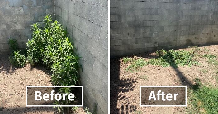 Conquer Everyday Frustrations With These 22 Home And Garden Hacks ...