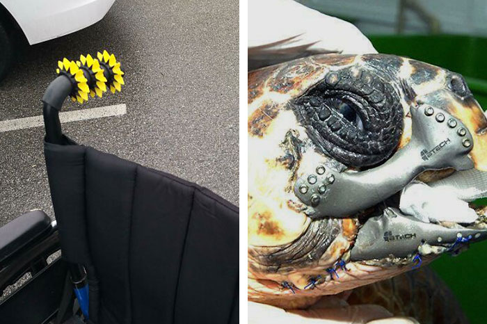 Ingenious Creations: 50 Times People Leveraged 3D Printing To Make ...