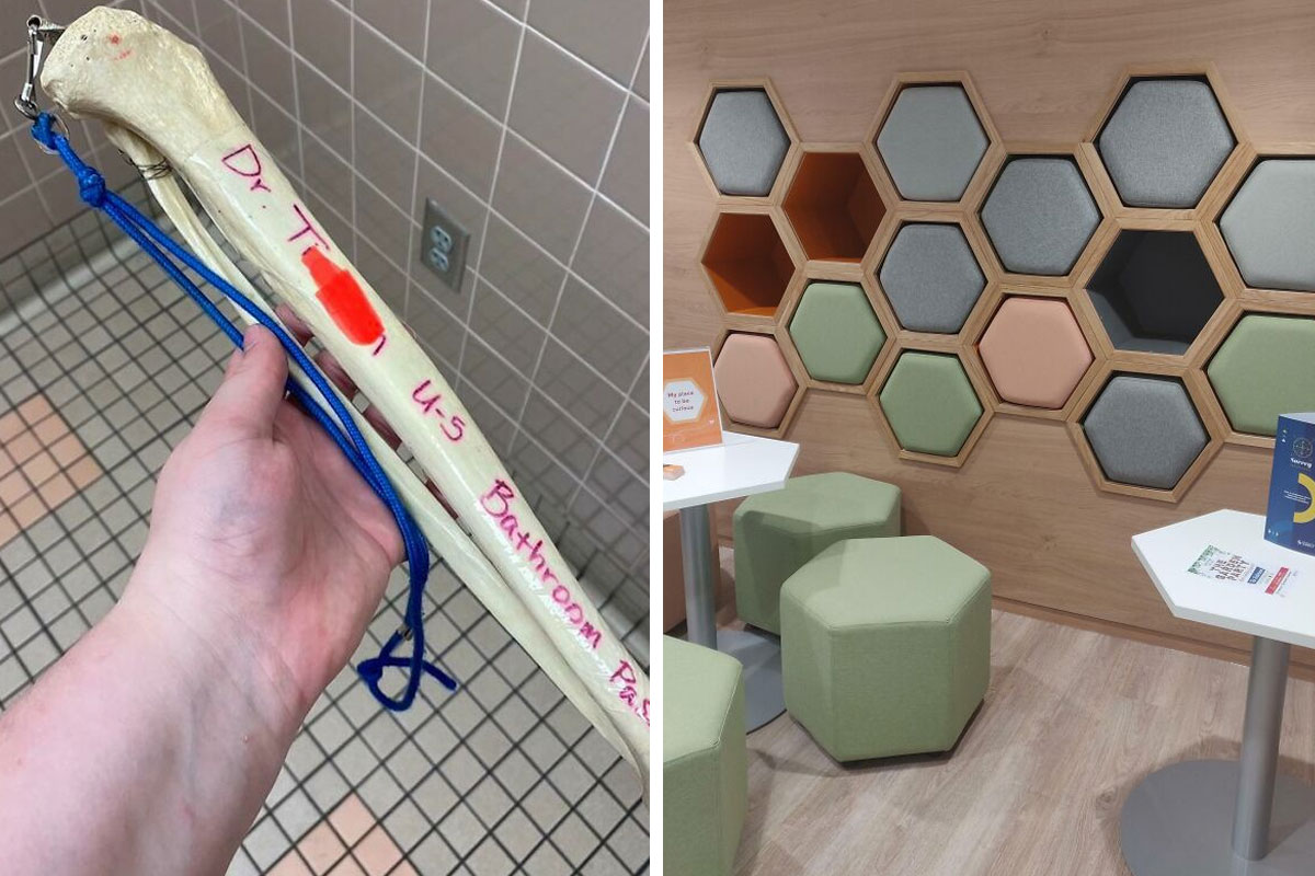 50 Ingenious Things Students Have Spotted At Their Schools And ...