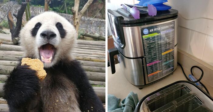 29 Products That Pandas Couldn’t Keep Their Paws Off Last Month | Bored Panda