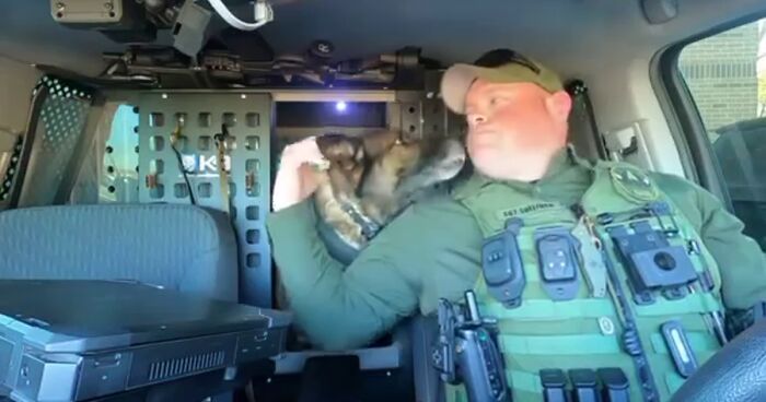 Police Dog Retires After Nearly A Decade Of Service, Heartwarming Video ...