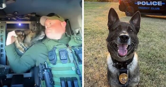 Police Dog Retires After Nearly A Decade Of Service, Heartwarming Video ...
