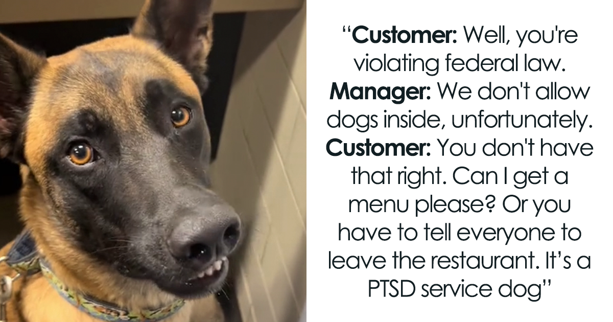 Service Animal Memes Unremarkable Files: Types Of Service Animals All