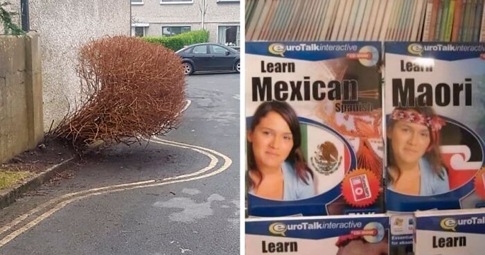 50 “Best Of All Time” Fails From People Who Live By The “Not My Job ...