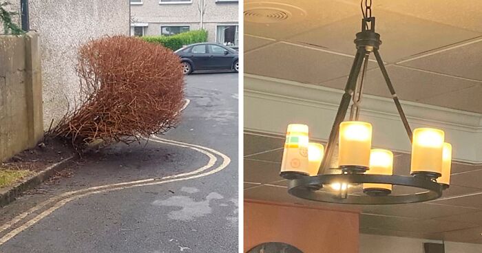 50 “Best Of All Time” Fails From People Who Live By The “Not My Job ...