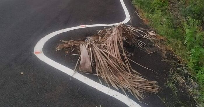 50 “Best Of All Time” Fails From People Who Live By The “Not My Job ...