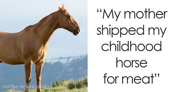 “I Asked Him To Stop, But He Couldn’t”: 30 Things That Had People ...