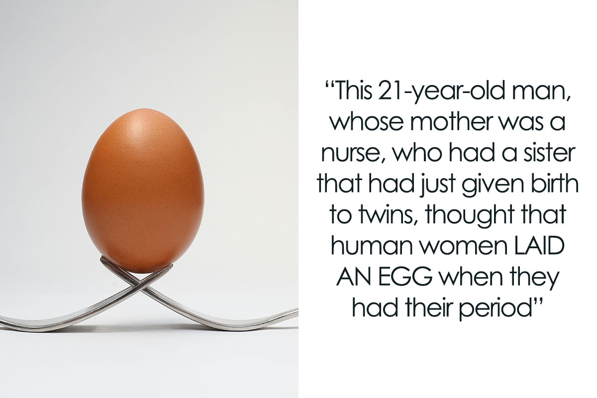 “Couldn’t Possibly Be Bears”: 45 People Who Discovered That They Were ...