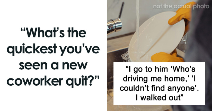 30 Times People Realized Their New Job Was A Mistake And Left Without ...