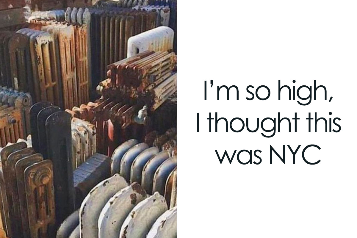 50 Random Memes That Have No Business Being So Funny | Bored Panda