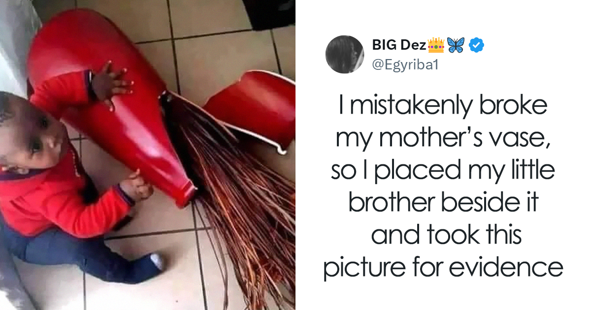 50 Random Memes That Have No Business Being So Funny | Bored Panda