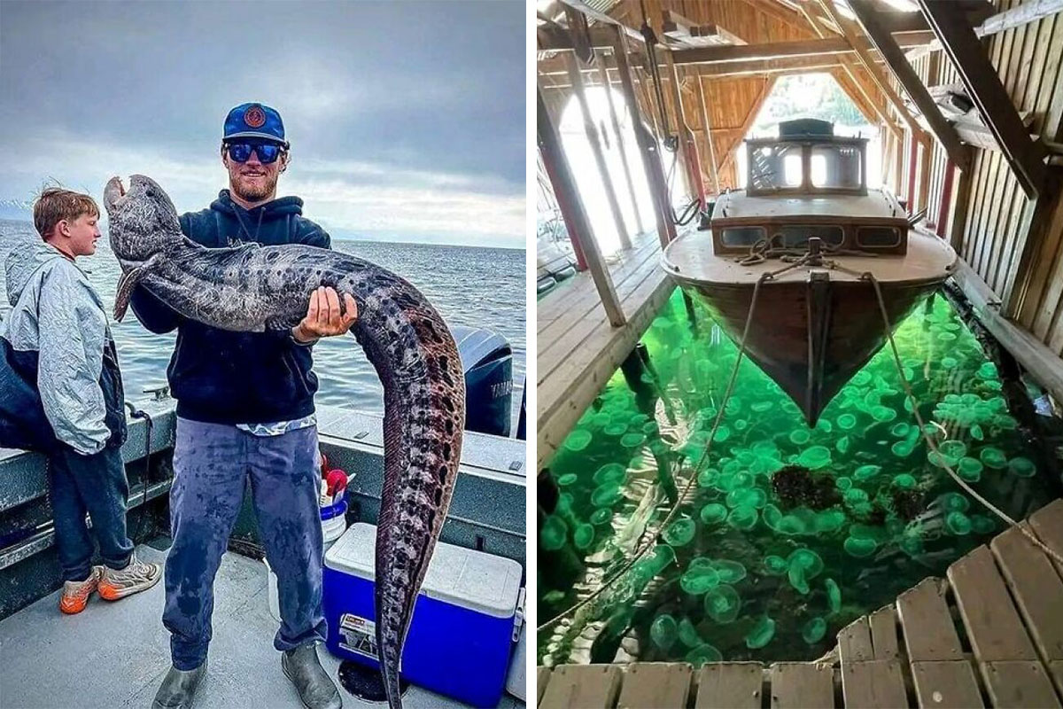 “All Things Strange And Unusual”: 50 Pics From This Weird Group | Bored ...