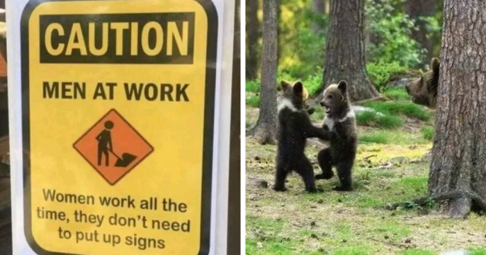 “All Things Strange And Unusual”: 50 Pics From This Weird Group | Bored ...