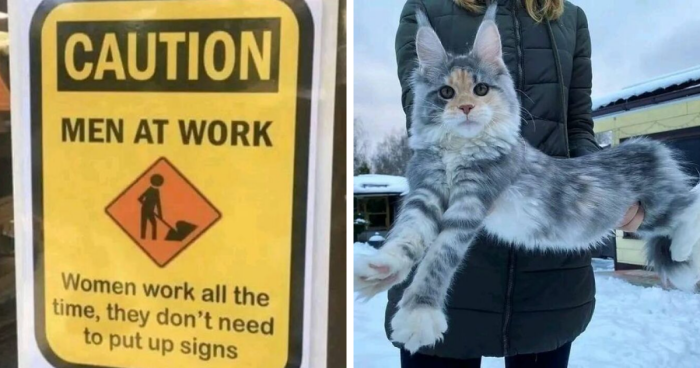 “All Things Strange And Unusual”: 50 Pics From This Weird Group | Bored ...